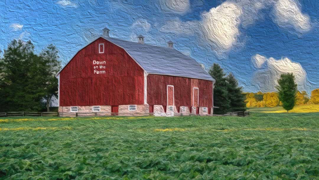 About Us - Down on the Farm